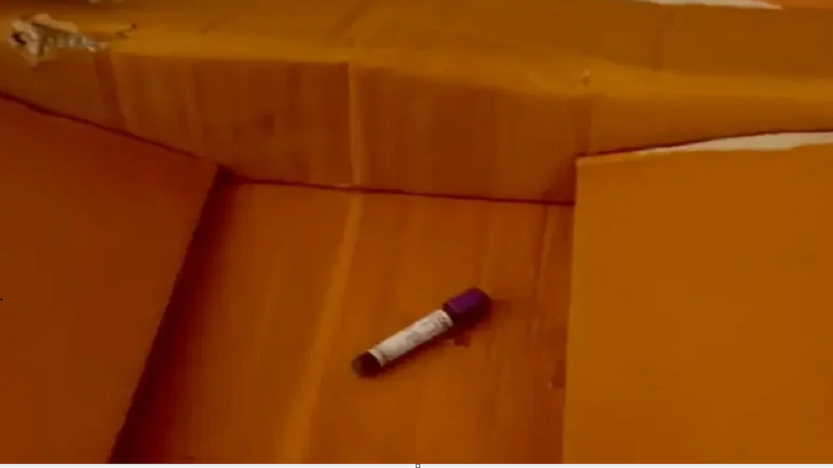 Frau behauptet, sie habe eine Phiole mit menschlichem Blut in einer ...